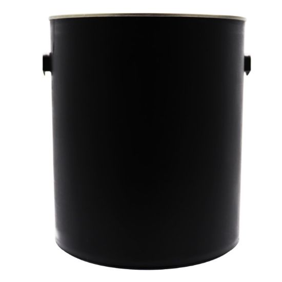 1 Gallon Hybrid Paint Can, w/ Ears. Pipeline Packaging